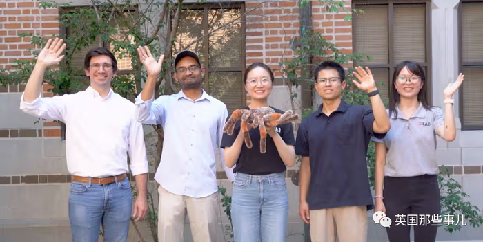 给尸体数鼻毛，用马桶记录肛纹？今年搞笑诺贝尔奖，史上最重口....|蜘蛛|学生|岩石|研究人员|海洋_新浪新闻