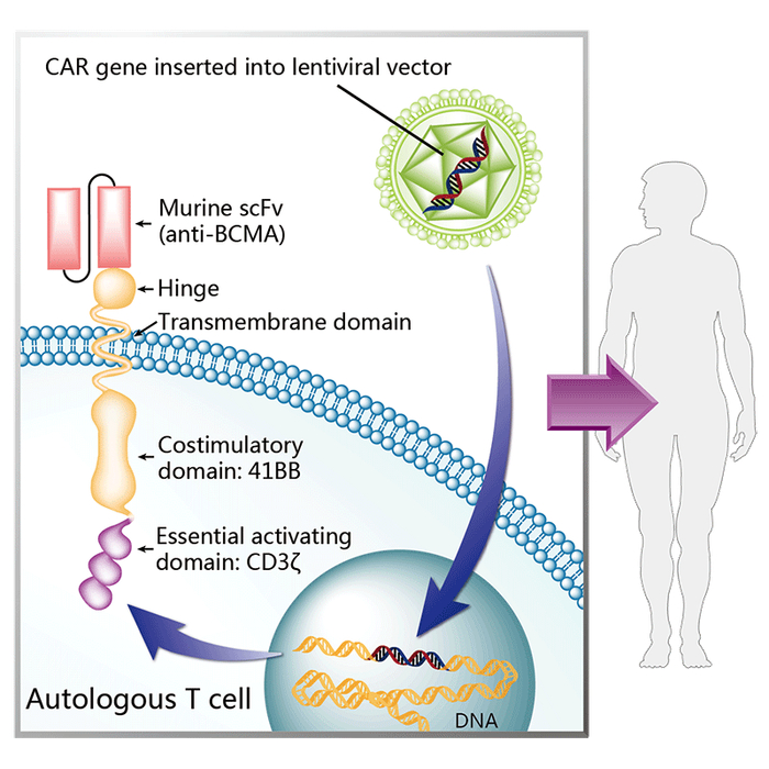 重磅！全球已获批上市CAR-T疗法全景图|CAR-T|FDA_新浪新闻