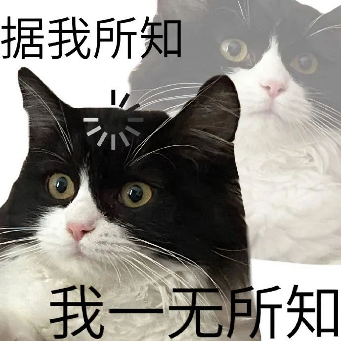 打工人日常精神状态发疯表情包|表情包_新浪新闻