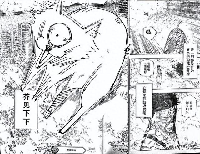 五条悟成2.5条悟？《咒术回战》最高人气角色腰斩引玩梗狂潮！|咒术回战_新浪新闻