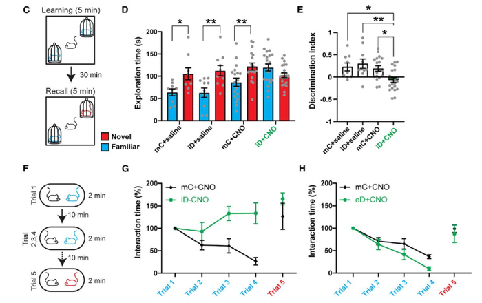 动物实验云课堂：社交新奇性偏好测试（Social novelty preference test）方法总结|小鼠|杯子|受试者|社会|笼子_新浪新闻