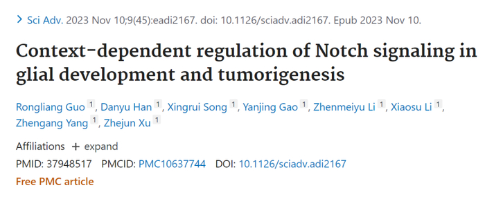 Sci Adv：复旦脑院杨振纲课题组揭示Notch信号调控胶质亚型发育和胶质瘤亚型转变__财经头条__新浪财经