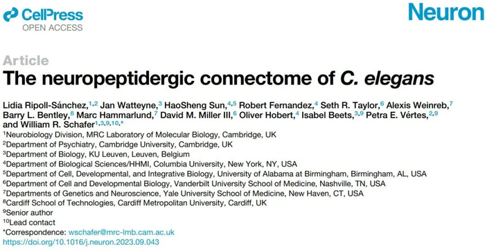 Neuron&Nature两篇连发：大脑里也有“Wi-Fi”网络—无线神经系统|突触_新浪新闻