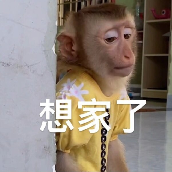 表情包 彻底疯狂 好劲爆 你逃不掉的 想家了 原来我长这猴样……