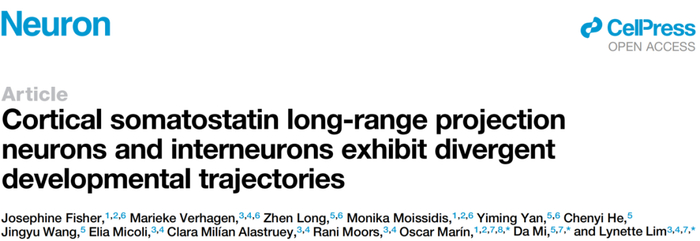 Neuron: 清华米达团队合作揭示大脑皮层SST长投射和SST中间神经元不同的发育轨迹__财经头条__新浪财经