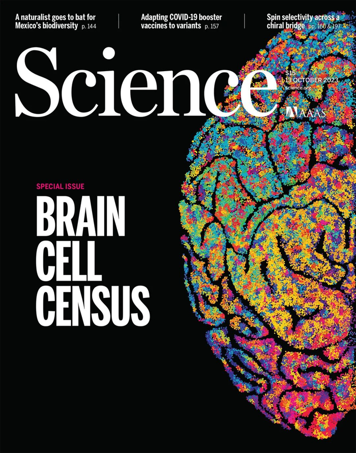 16篇Nature+21篇Science及子刊+9篇Nature：我们进入大脑图谱研究快速发展的黄金时代|脑科学|生物学与医学|全脑|论文 ...