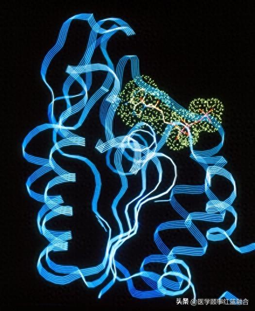 精准抗癌医学时代p53的药理再激活__财经头条