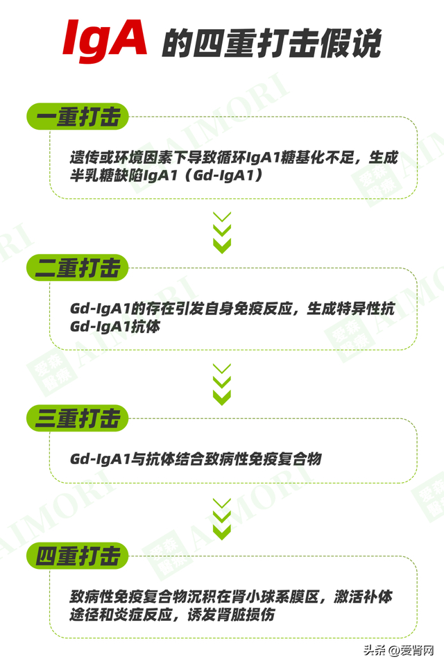全球首个创新药物耐赋康在中国获批上市用于治疗IgA肾病|肾病|中国_新浪新闻