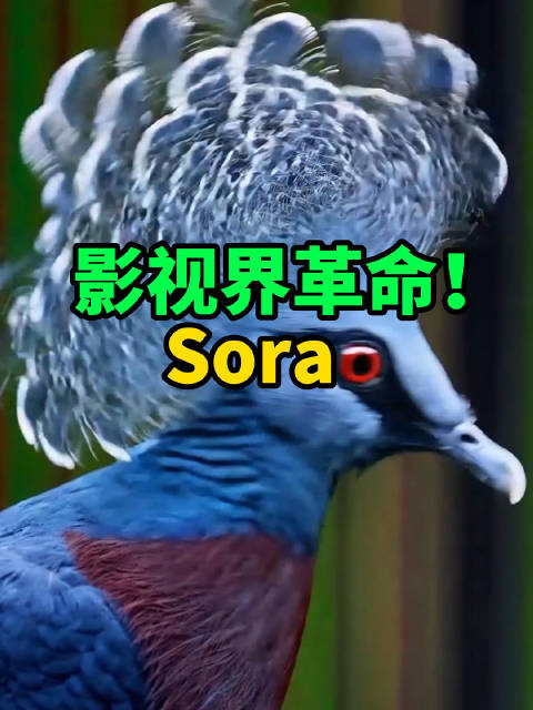 Sora生成案例混剪，猜猜哪个画面不是AI生成的？_手机新浪网