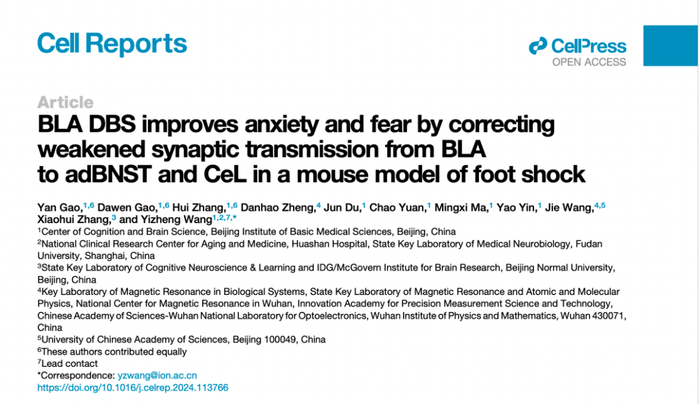 Cell 子刊：王以政院士团队发现深部脑刺激治疗PTSD的关键神经环路机制