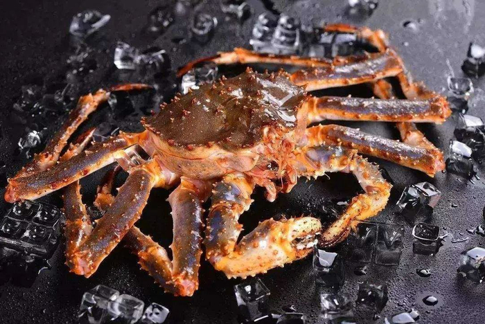 【养殖地理】阿拉斯加为何盛产帝王蟹？为什么要“南鲍北养”？|阿拉斯加|智利|挪威_新浪新闻