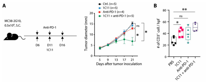 陈列平发现T细胞排斥剂，有望颠覆冷肿瘤治疗，已创立公司并完成6500万美元融资