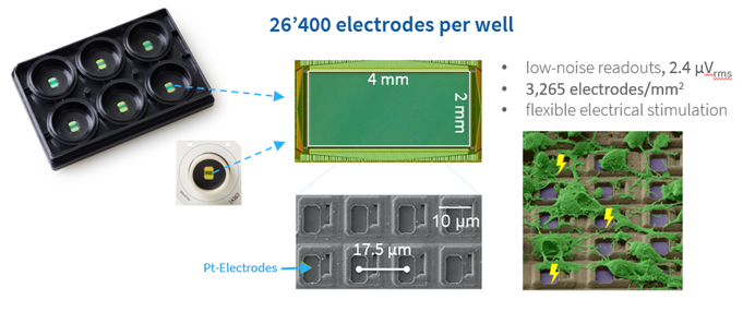 超高分辨率MEA技术专题（二）：HD-MEA与钙成像/光遗传的结合应用|突触|芯片_新浪新闻