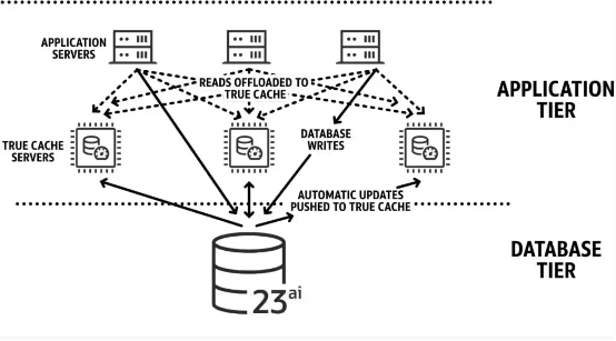 新增 300 多项功能，Oracle Database 23ai 正式发布！年近 50 岁的数据库巨头正迈入 AI 时代|数据库|Oracle ...