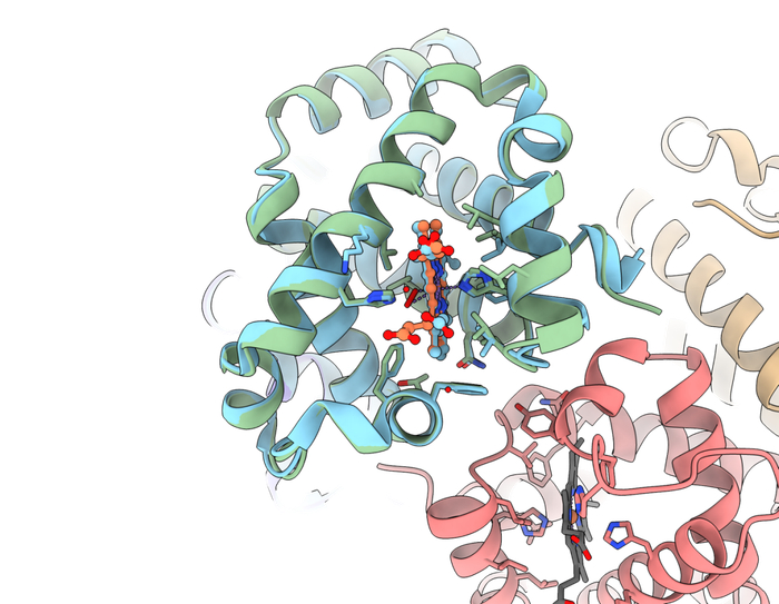 最新发布的AlphaFold 3有多厉害？我们请使用者聊了聊|生物学家_新浪新闻
