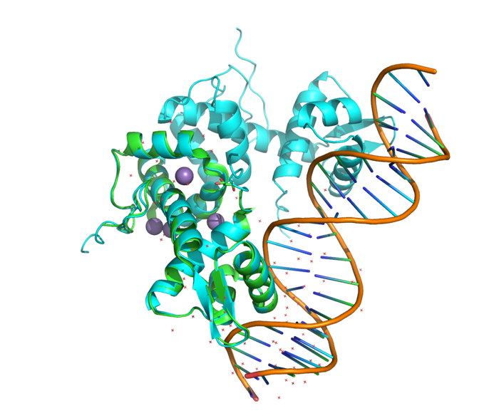 最新发布的AlphaFold 3有多厉害？我们请使用者聊了聊|生物学家_新浪新闻