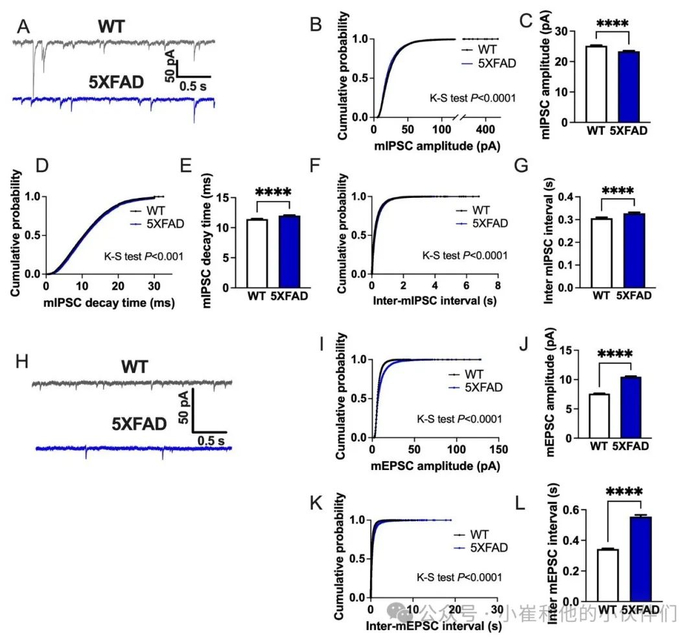 Brain：癫痫发作加剧阿尔茨海默病和5XFAD小鼠兴奋性/抑制性失衡__财经头条__新浪财经