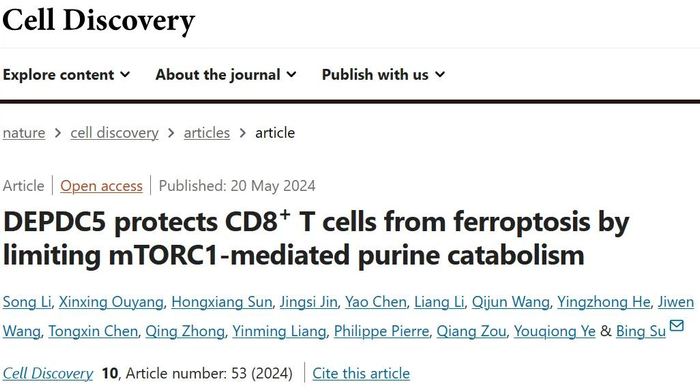 Cell Discov | 上海交通大学苏冰团队揭示铁死亡与肿瘤免疫：DEPDC5在CD8+ T细胞保护中的关键作用|肿瘤|上海交通大学_新浪新闻