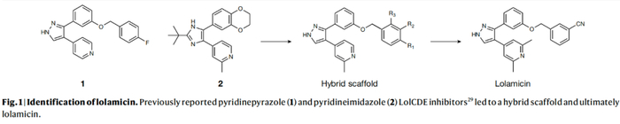 Nature重磅：更智能的抗生素！高效对抗耐药菌，而不伤害肠道菌群|抗生素|阴性菌|革兰氏_新浪新闻
