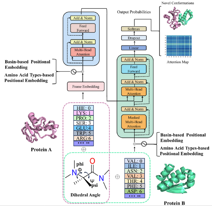韩国版AlphaFold？深度学习模型AlphaPPIMd：用于蛋白质-蛋白质复合物构象集合探索|论文_新浪新闻