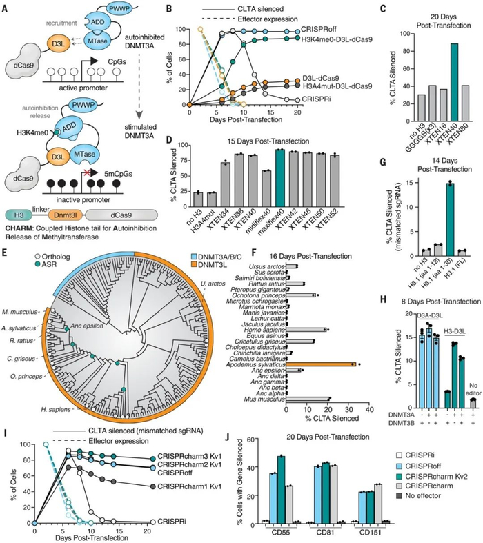 Science：通过AAV介导的表观遗传编辑器实现全脑朊病毒蛋白沉默__财经头条__新浪财经