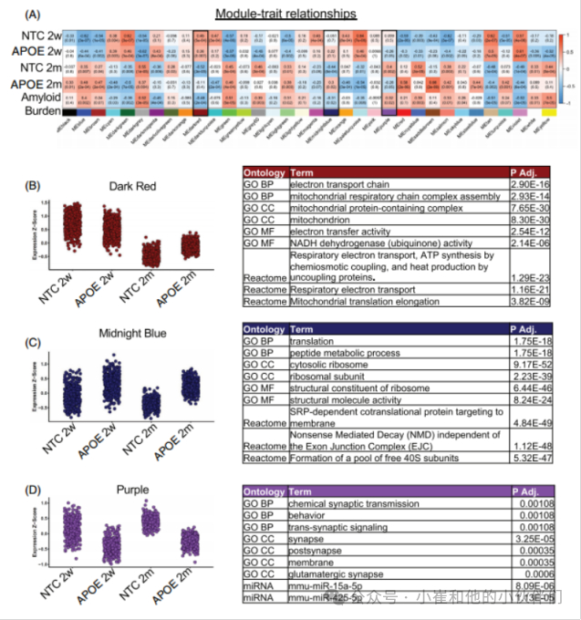 AD：二价siRNA沉默APOE可改善AD的淀粉样蛋白负荷并激活免疫反应途径__财经头条__新浪财经