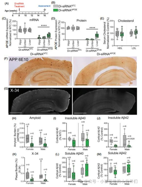 AD：二价siRNA沉默APOE可改善AD的淀粉样蛋白负荷并激活免疫反应途径__财经头条__新浪财经