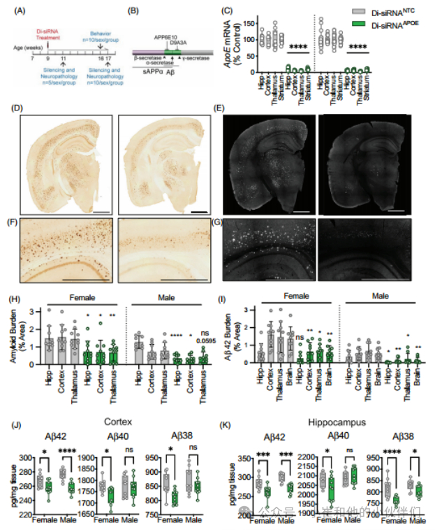 AD：二价siRNA沉默APOE可改善AD的淀粉样蛋白负荷并激活免疫反应途径__财经头条__新浪财经