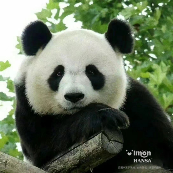 北京新地标·北京新奥购物中心 丨野萌IMON×HANSA来炸场了！__财经头条__新浪财经