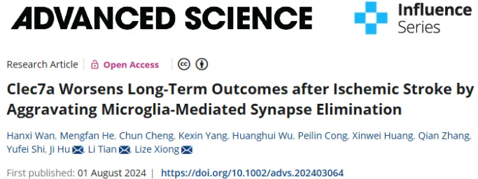 Adv Sci：熊利泽/田莉/胡霁合作发现小胶质细胞Clec7a在缺血性中风中的作用机理