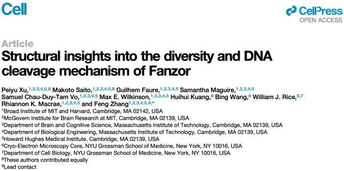 Cell丨张锋团队揭示真核基因编辑器Fanzor的结构多样性和DNA切割机制|DNA|RNA|张锋_新浪新闻