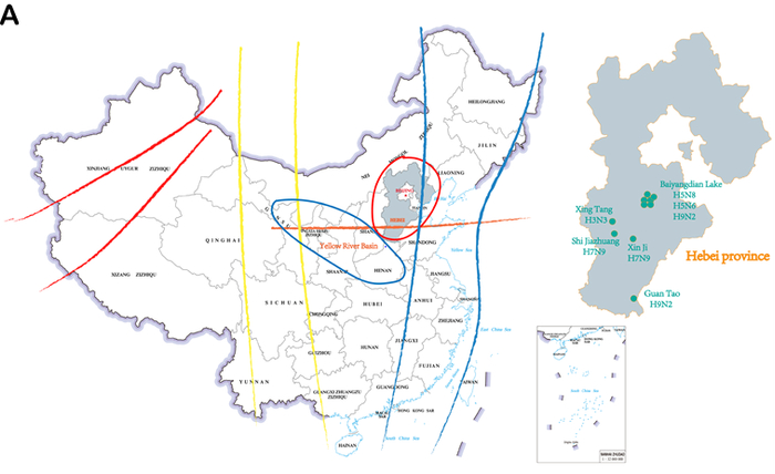 于飞/李锋/姜世勃合作团队：在河北省禽流感病毒监测中发现一株新型H3N3禽流感病毒|河北省|于飞|禽流感_新浪新闻