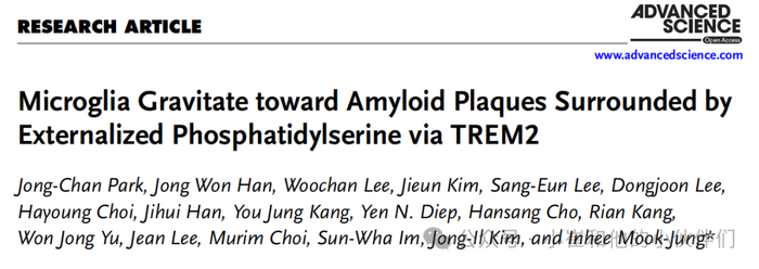 Adv Sci：小胶质细胞通过TREM2被外部磷脂酰丝氨酸包围的Aβ吸引|活细胞_新浪新闻