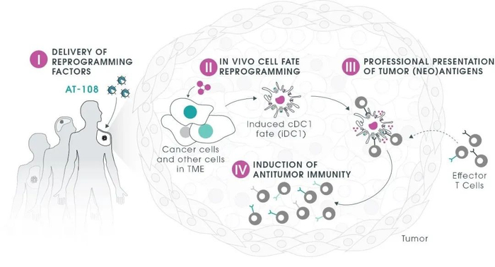 Science重磅：直接将体内癌细胞重编程为免疫细胞，持久抗癌且防止复发|癌细胞|抗癌|细胞_新浪新闻