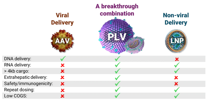 Cell：超越AAV和LNP，全新核酸递送平台——蛋白脂质载体（PLV），有望开启基因治疗新时代__财经头条__新浪财经
