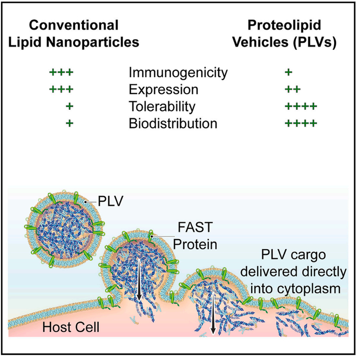 Cell：超越AAV和LNP，全新核酸递送平台——蛋白脂质载体（PLV），有望开启基因治疗新时代__财经头条__新浪财经