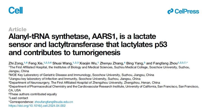 Nature：浙江大学张龙团队揭示AARS1/2作为乳酸感知蛋白和乳酸化转移酶的作用机制|论文|张龙|浙江大学_新浪新闻