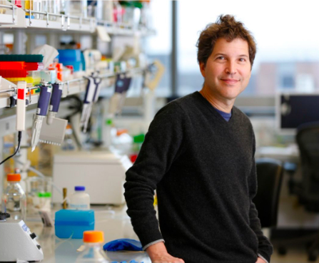 刚刚，2024年诺贝尔化学奖揭晓！AlphaFold开发者和David Baker斩获诺奖|诺奖|蛋白质|哈萨比斯|氨基酸|研究人员_新浪新闻