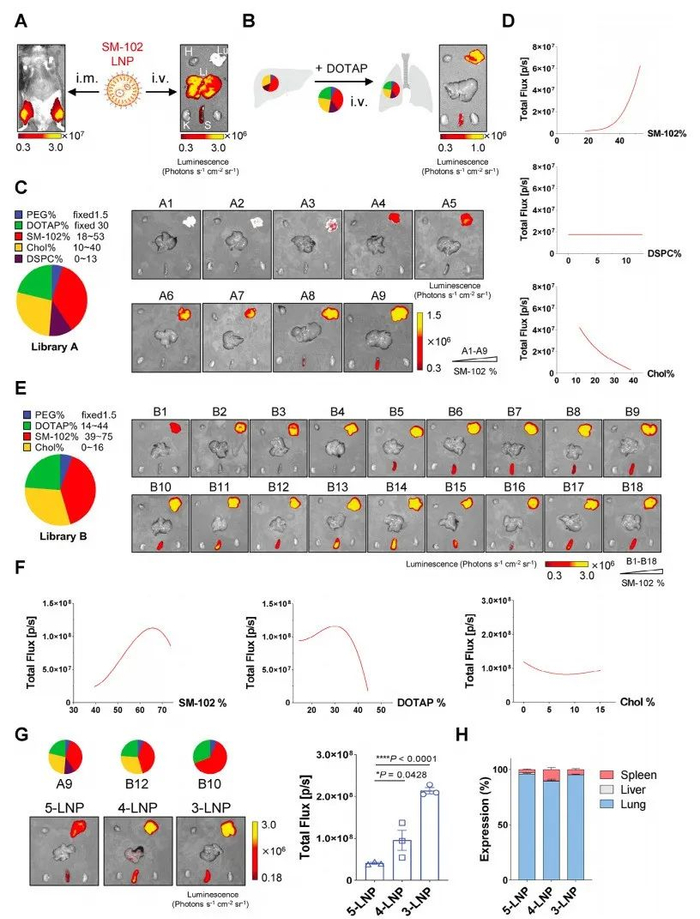 程强/魏妥团队开发简化LNP系统，实现器官和细胞双重特异性靶向递送mRNA，用于精准肿瘤治疗|肿瘤_新浪新闻