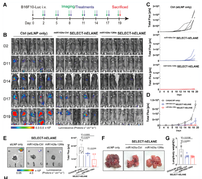 程强/魏妥团队开发简化LNP系统，实现器官和细胞双重特异性靶向递送mRNA，用于精准肿瘤治疗|肿瘤_新浪新闻