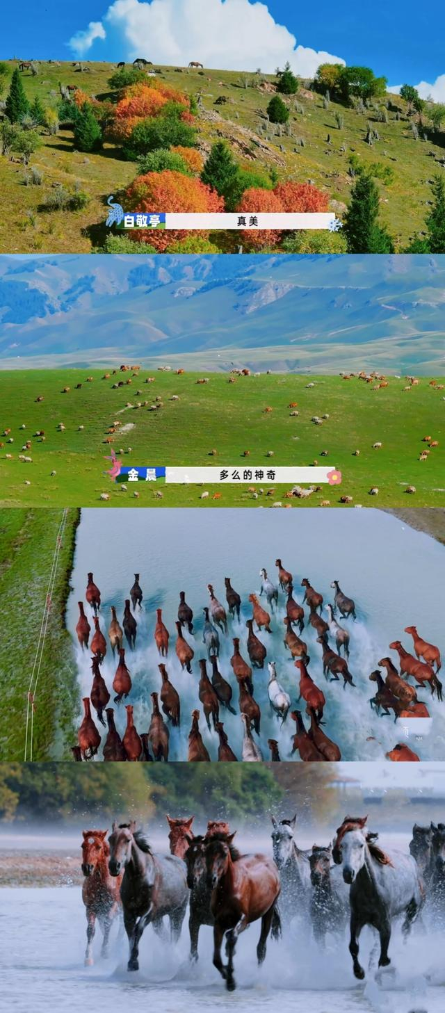 《现在就出发2》：在自然秘境欢乐野游|沈腾|金晨|冠军|白敬亭|白浪_新浪娱乐_新浪新闻