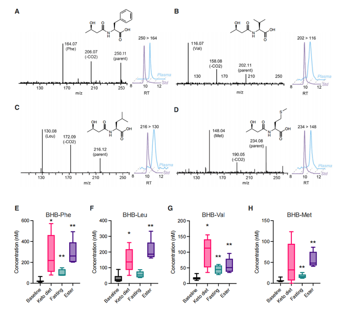 斯坦福团队发现新型代谢化合物，可抑制食欲、减轻体重_手机新浪网