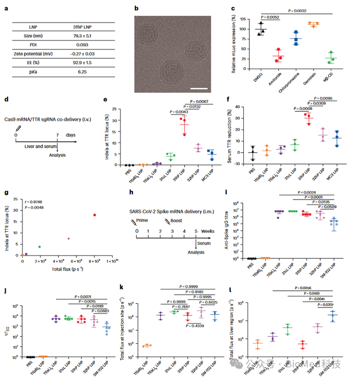 中国青年学者一作！可电离脂质，最新Nature大子刊，已全职回国，加盟中科院生化与细胞所！|化学|生物|进化_新浪新闻