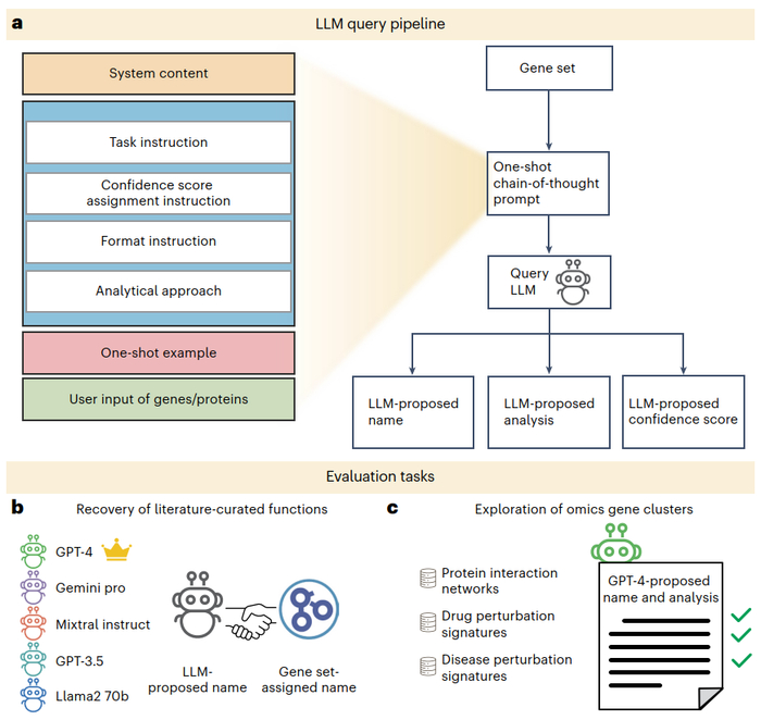 Nature Methods | GPT-4领衔：大语言模型（LLMs）推动基因功能探索新高度__财经头条