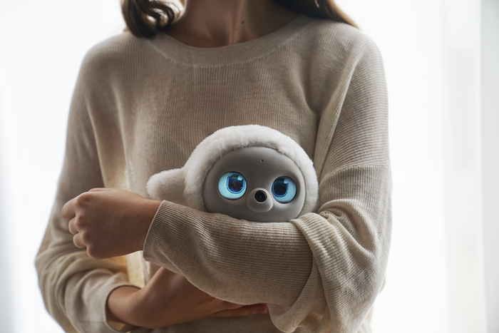 对话Ropet CEO何嘉斌：AI潮玩的目标，就是造一个活的“Labubu”？|AI|机器人|创业_新浪新闻