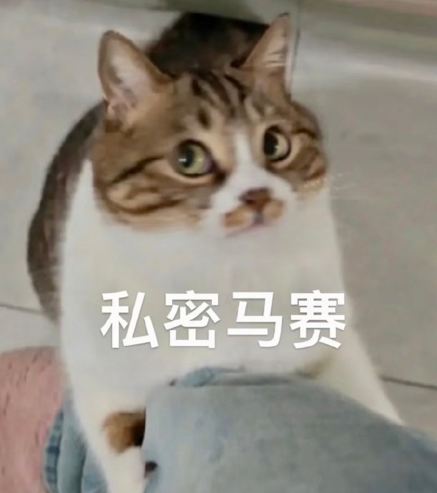 表情包：你看你又急|表情包_新浪新闻