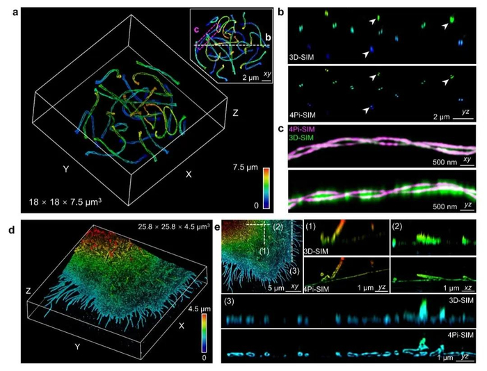 Nature Methods：西湖大学章永登团队等开发4Pi-SIM成像技术，实现活细胞双色三维各向同性100纳米分辨率|纳米|显微镜|西湖大学|活细胞_新浪新闻