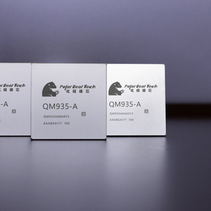 Chiplet自驾芯片，来了！北极雄芯启明935A系列宣布点亮_手机新浪网