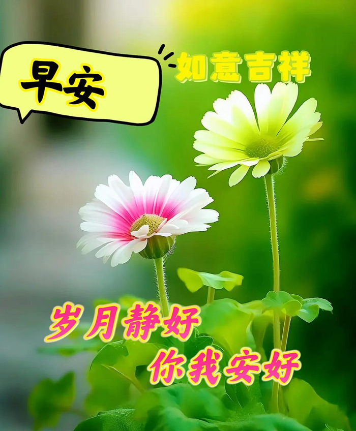 2024年12月30日最新早上好祝福语图片大全 精选早安问候祝福图片带字__财经头条