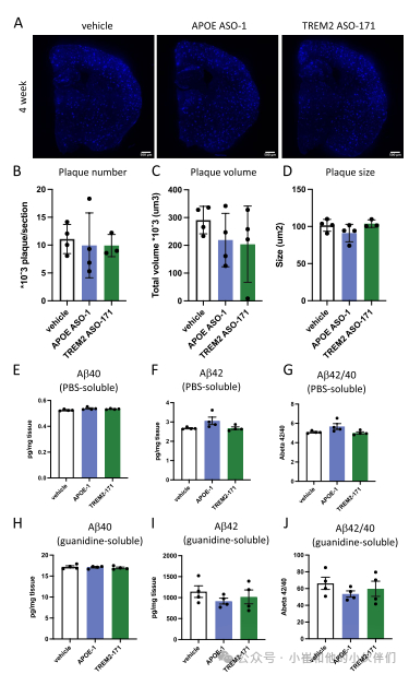 MN：APOE和TREM2 反义寡核苷酸调节AD中小胶质细胞功能__财经头条__新浪财经
